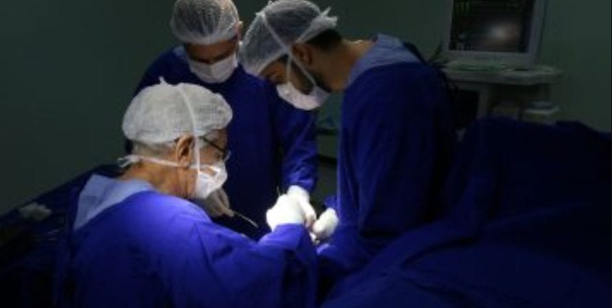 Em onze meses foram realizados 224 transplantes de rim na BA elevando o ...