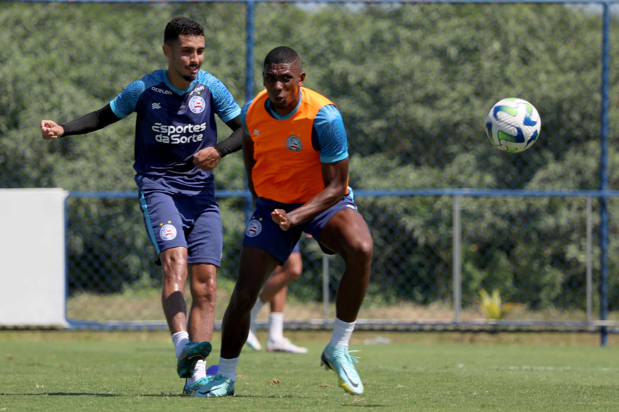 Bahia Estreia Como Mandante Na Série A Contra O Botafogo E Busca